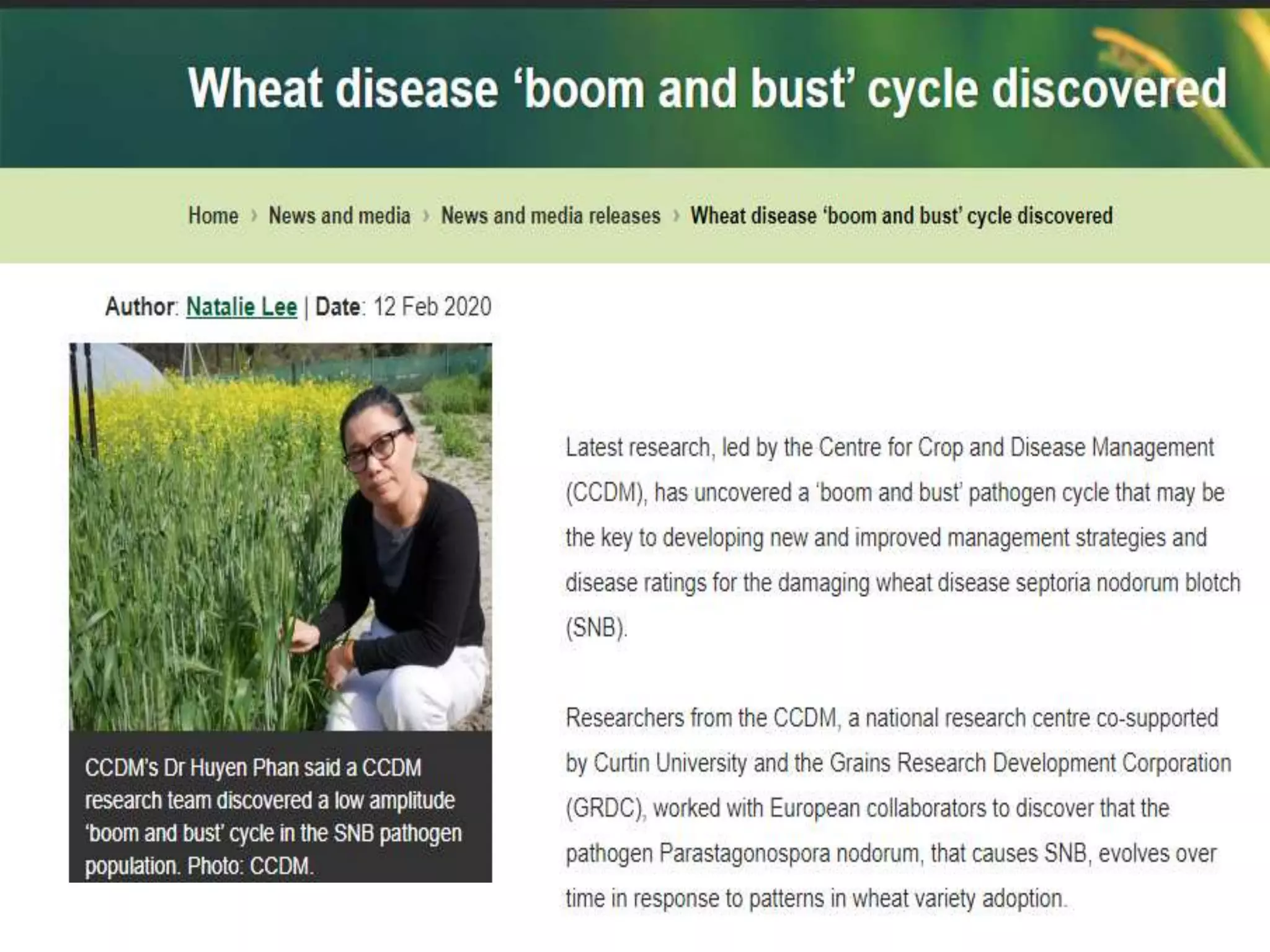 Vertifolia effect and boom and bust cycle | PPTX