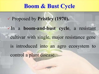 Vertifolia effect and boom and bust cycle | PPTX