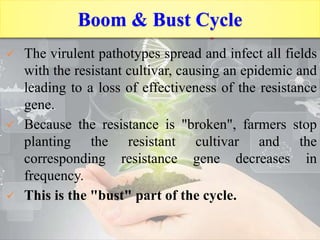 Vertifolia effect and boom and bust cycle | PPTX