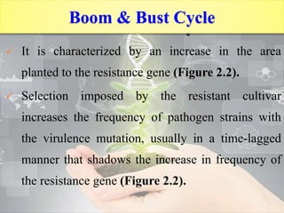 Vertifolia effect and boom and bust cycle | PPTX