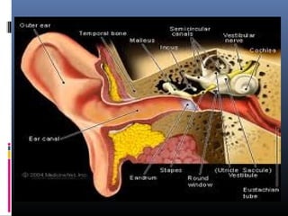 meniere's disease (Vertigo) and labyrinthitis | PPT