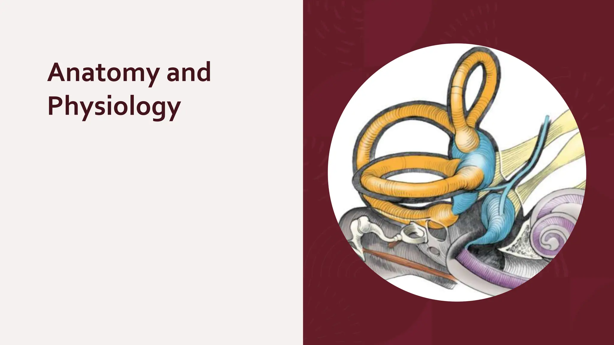 Vertigo and Nystagmus - Clinical approach.pptx