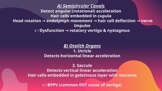 Vertigo; causes; symptoms; treatment; Bppv; maneuvers; all in one | PPTX
