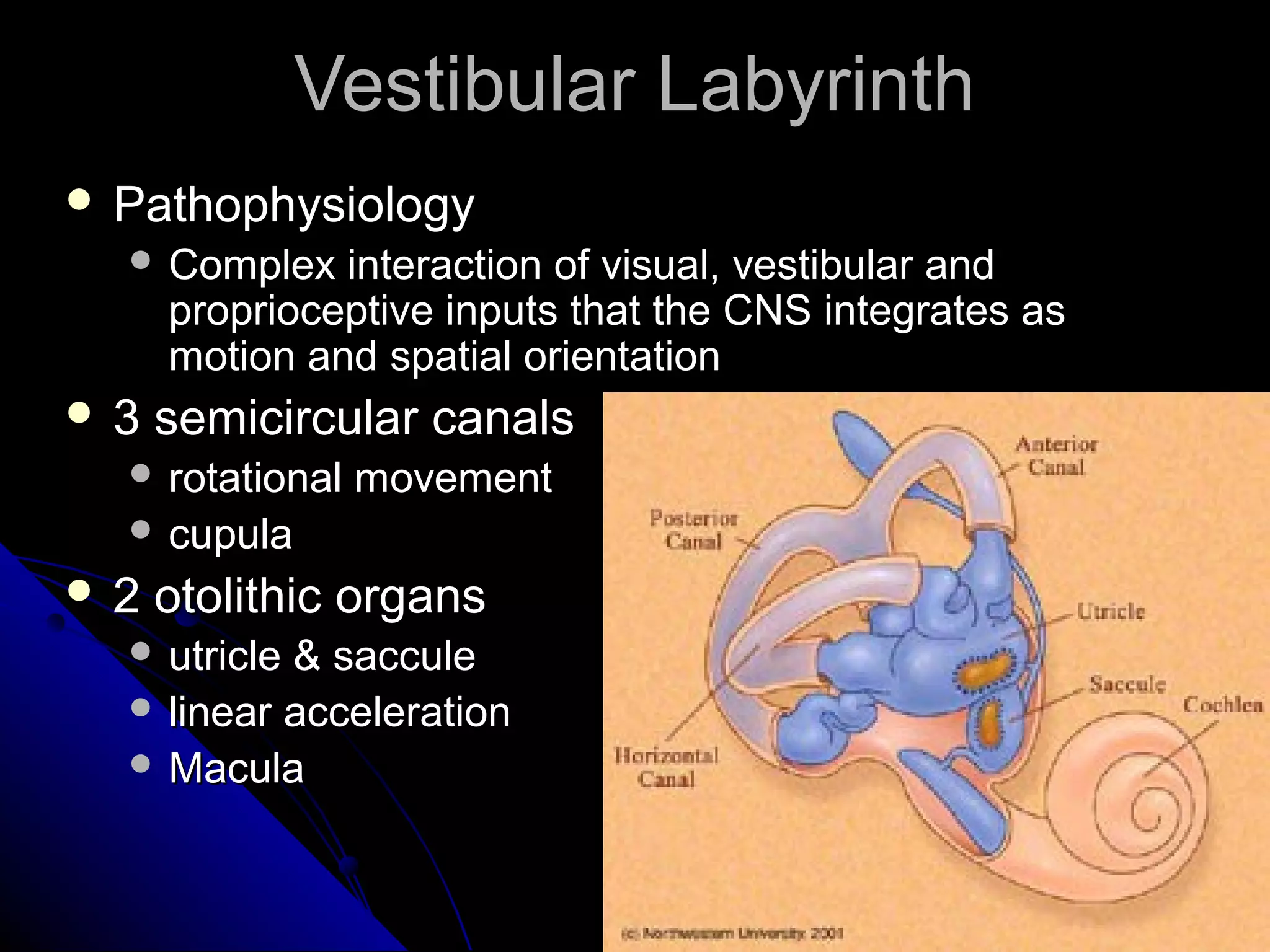 Vertigo and dizziness | PPT