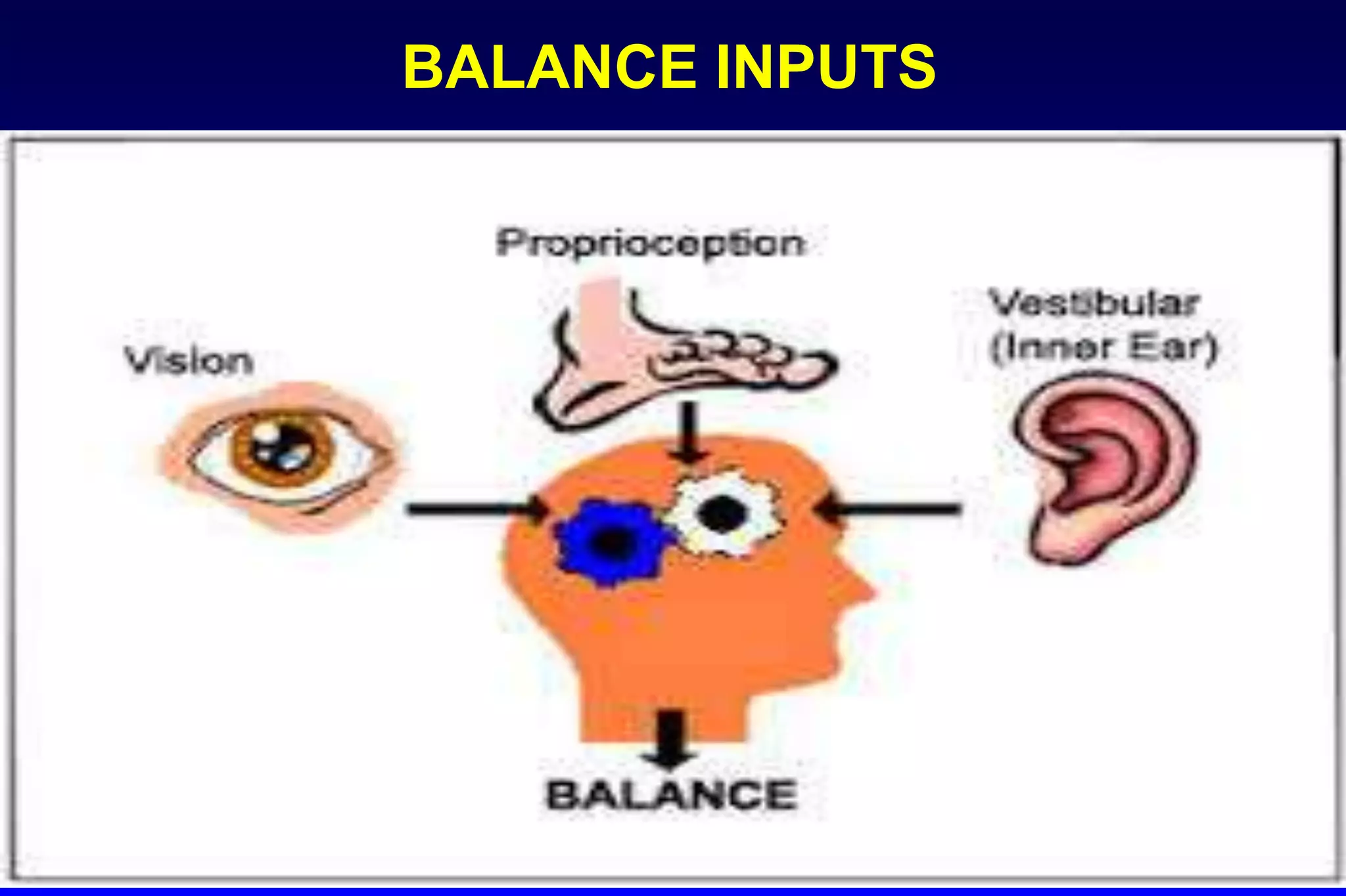 Vertigo & Dizziness: Diagnosis, Management | PPT