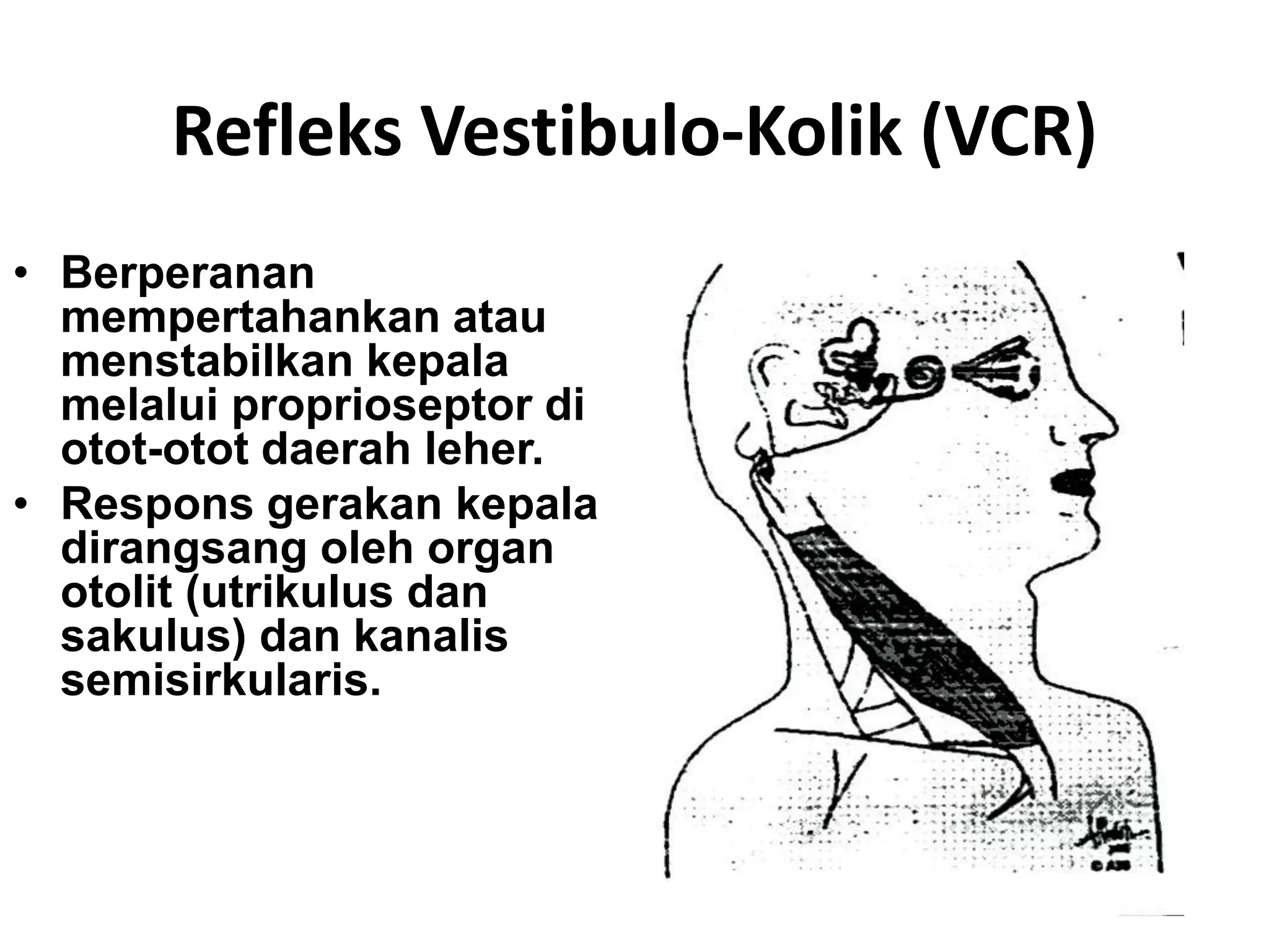 Vertigo Work up & management pptx.pptx