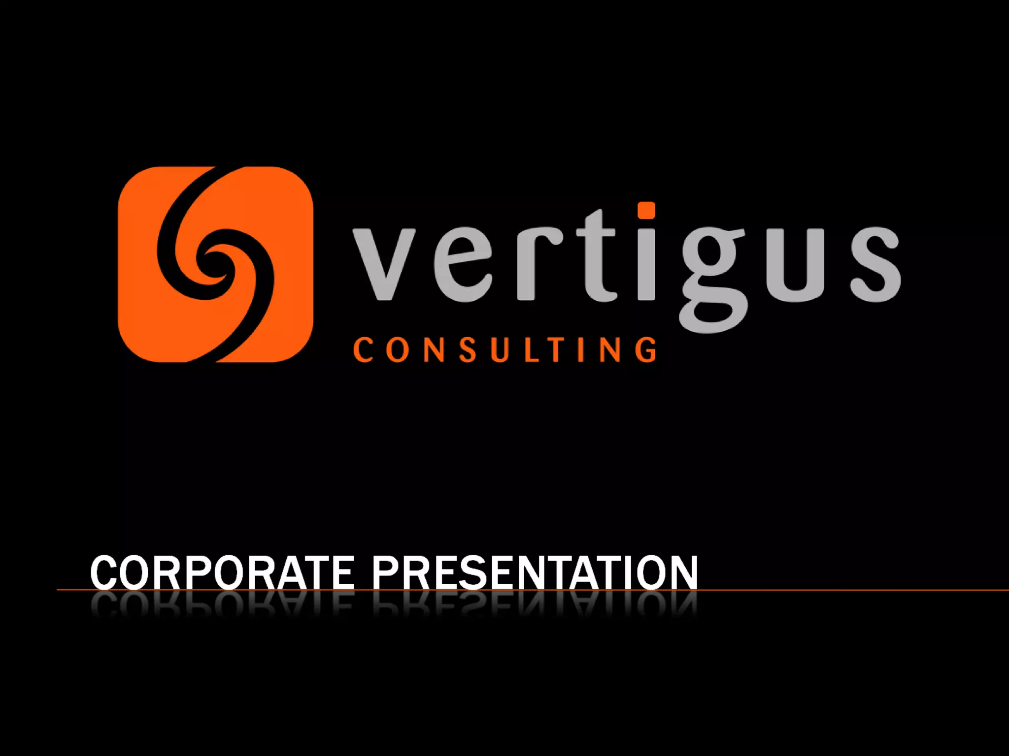 Vertigus Corporate Presentation 2008 | PPT