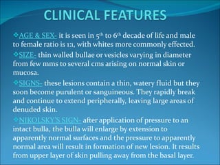 vesiculo bullous lesions | PPT