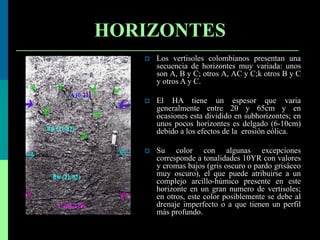 Vertisoles.ppt