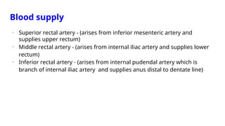 vertopal.com_anorectal anatomy of canal 1.ppt