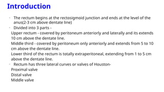 vertopal.com_anorectal anatomy of canal 1.ppt