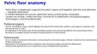 vertopal.com_anorectal anatomy of canal 1.ppt