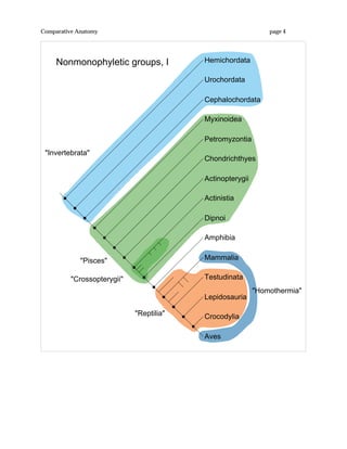 Vertphylogeny | PDF