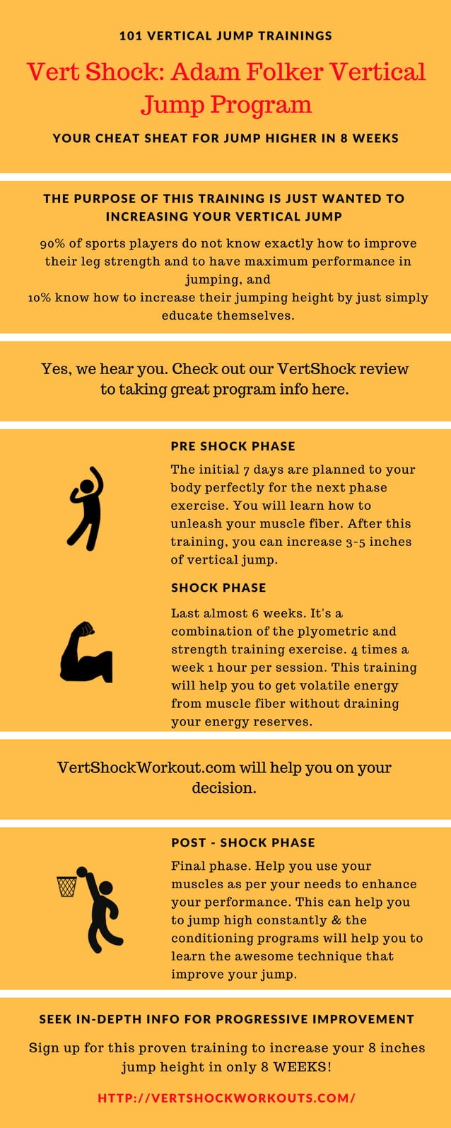 Vert Shock Review Program Infographic | PDF