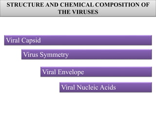 VIRUSES | PPTX