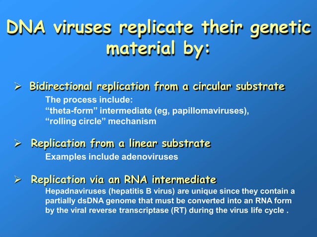 the fundementals and the basics of the viral replication cycle.pptx