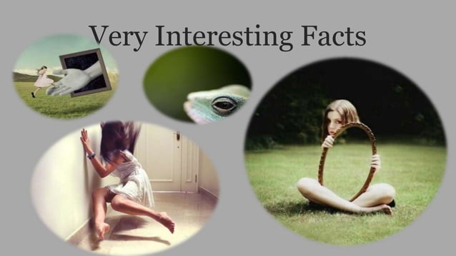 Very interesting facts | PPT