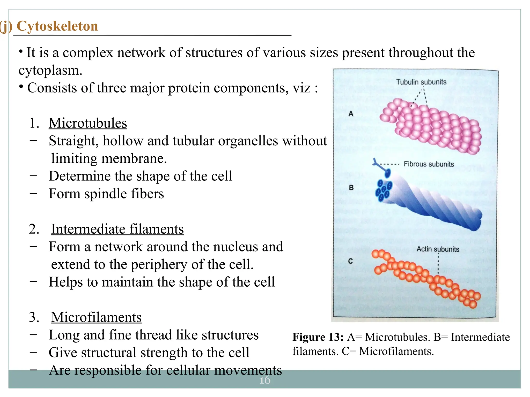 very ver awesome CELLS ARE AWESOME -180816111539.pptx