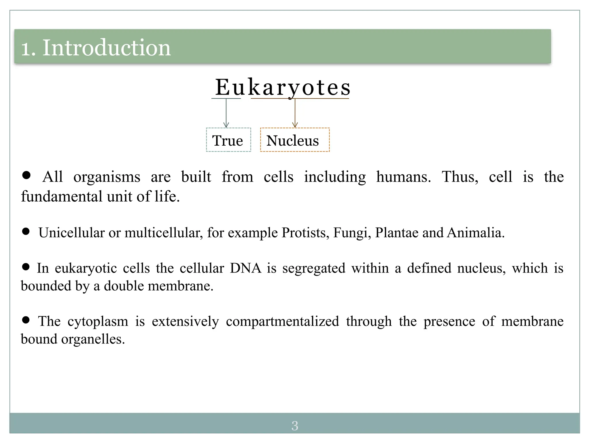 very ver awesome CELLS ARE AWESOME -180816111539.pptx