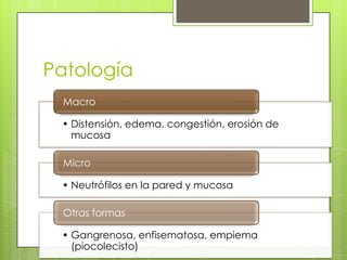 Ves biliar, colecistitis, colelitiasis | PPSX