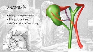 Vesícula Biliar, Colelitiasis y Colecistitis.pptx
