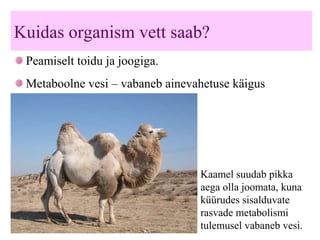 Vesi | PPT
