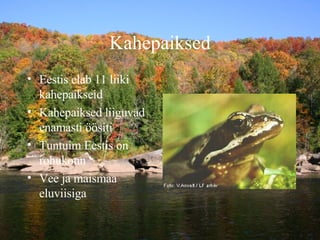 vesi | PPT