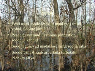 vesi | PPT