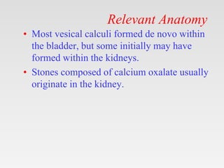 Vesical calculus.pptx