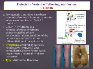 Diseases related to problems in vesicular fusion | PPTX
