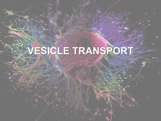 Vesicle transport | PPTX | Biological Sciences | Science