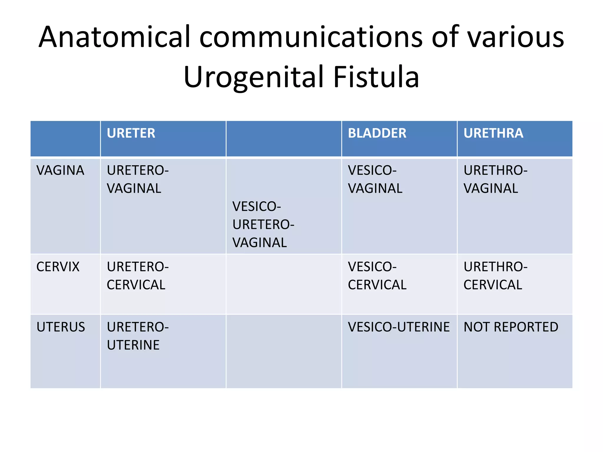 Vesico vaginal fistula | PPTX
