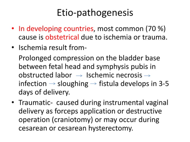 Vesico vaginal fistula | PPTX | Pregnancy | Reproductive Health