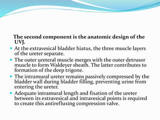 Vesicoureteral reflux | PPTX