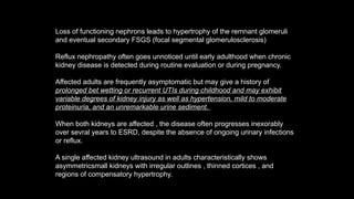 VESICOURETERAL REFLUX AND REFLUX NEPHROPATHY.pptx