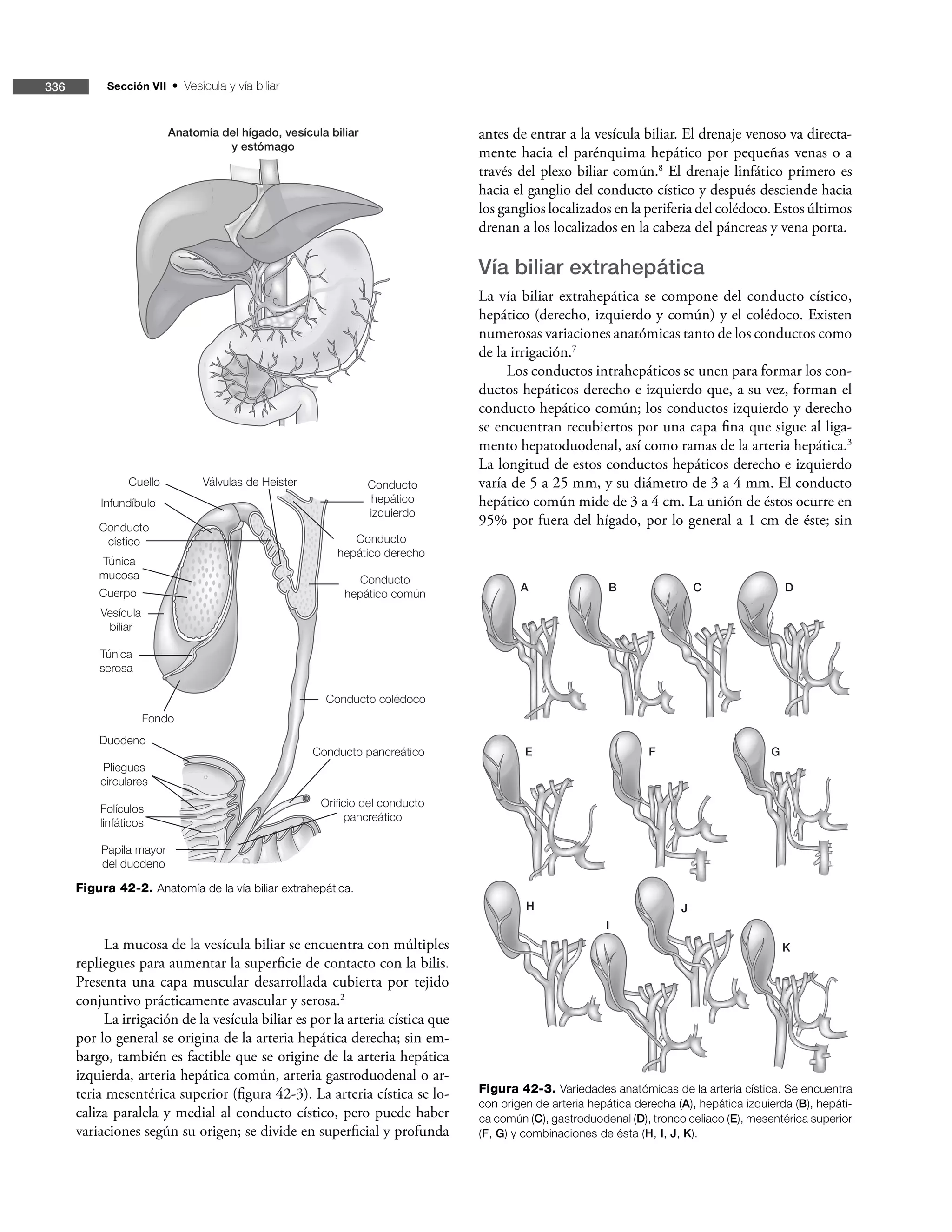 vesicula.pdf