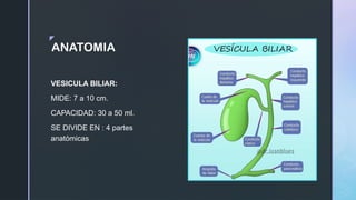 VESICULA BILIAR [Autoguardado]............ | PPTX