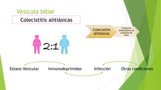 vesicula biliar, anatomia, patologia benigna.pdf