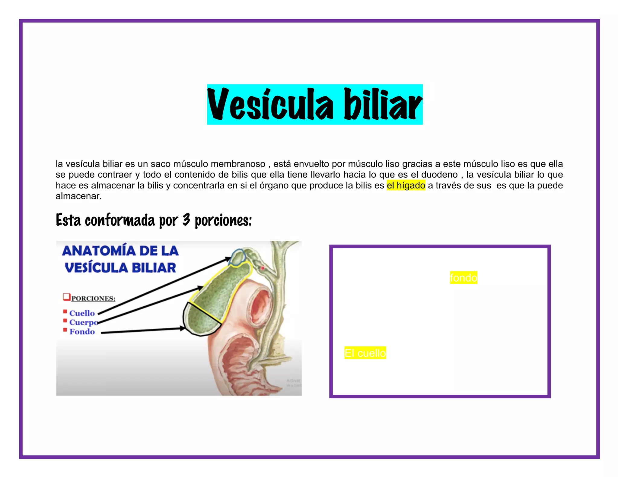 Vesicula biliar y apendice .pdf 1 (1) | PPT