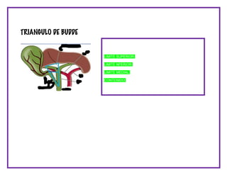 Vesicula biliar y apendice .pdf 1 (1) | PDF