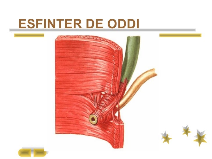 RADIOLOGIA Vesicula biliar y vias biliares DRA MARROQUIN