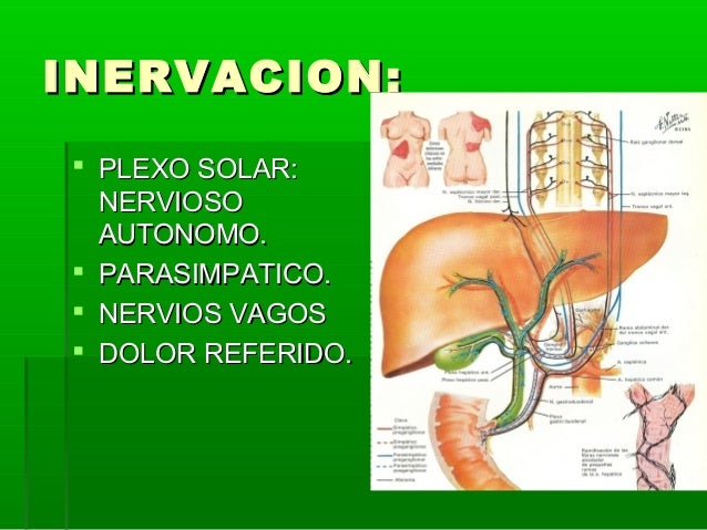 Vesicula biliar y vias biliares