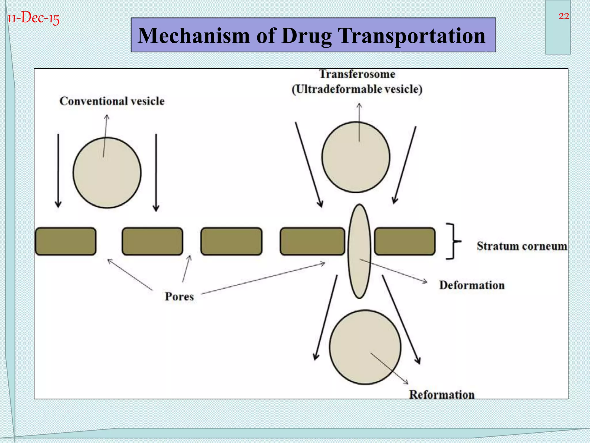 Vesicular drug delivery system | PPTX | Skin Care | Beauty