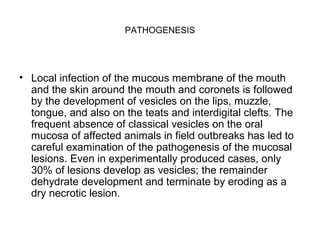 Vesicular stomatitis تشخيصات | PPT