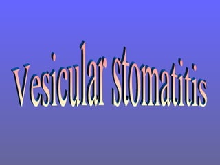 Vesicular stomatitis | PPT