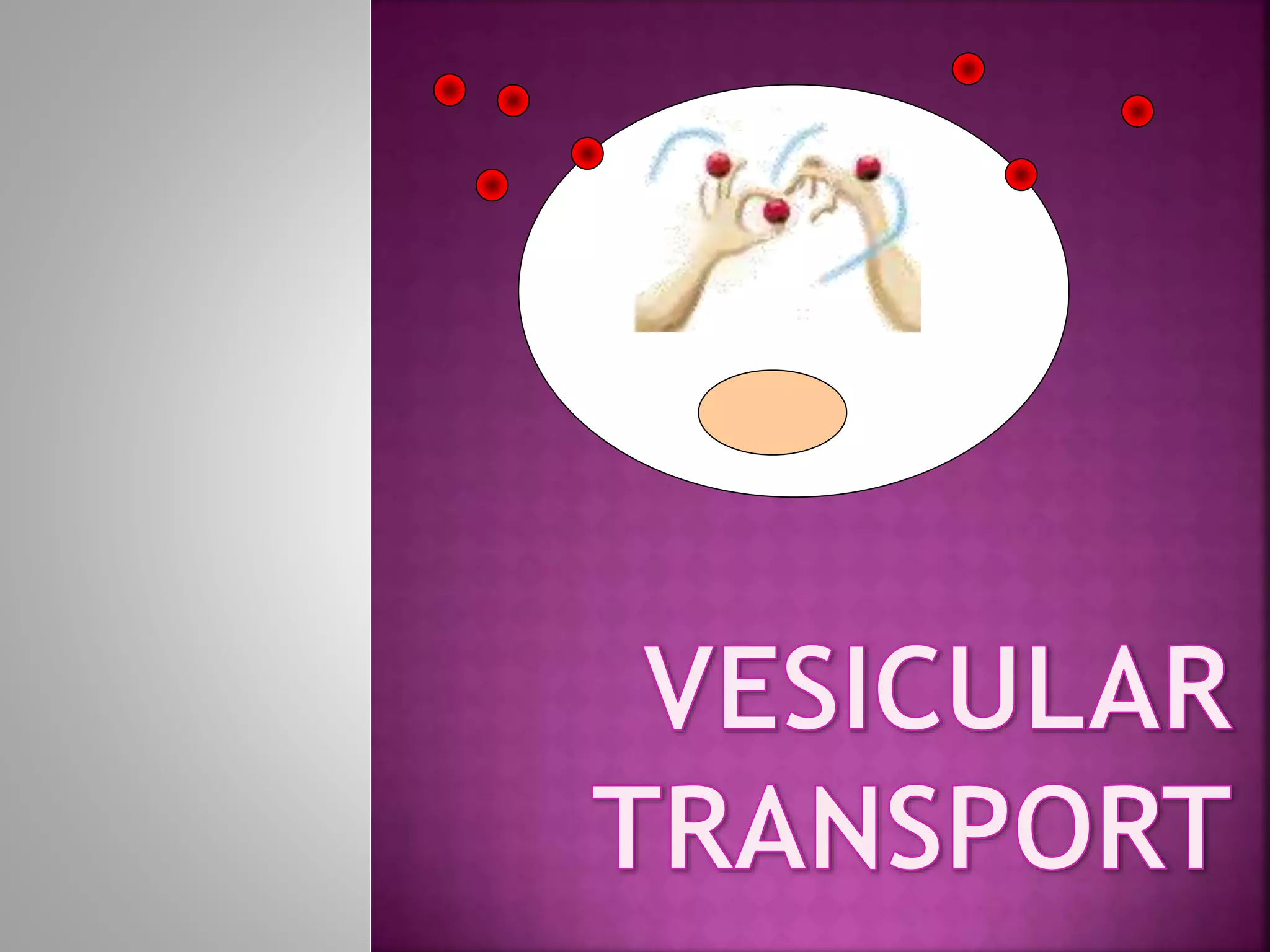 Vesicular transport | PPTX