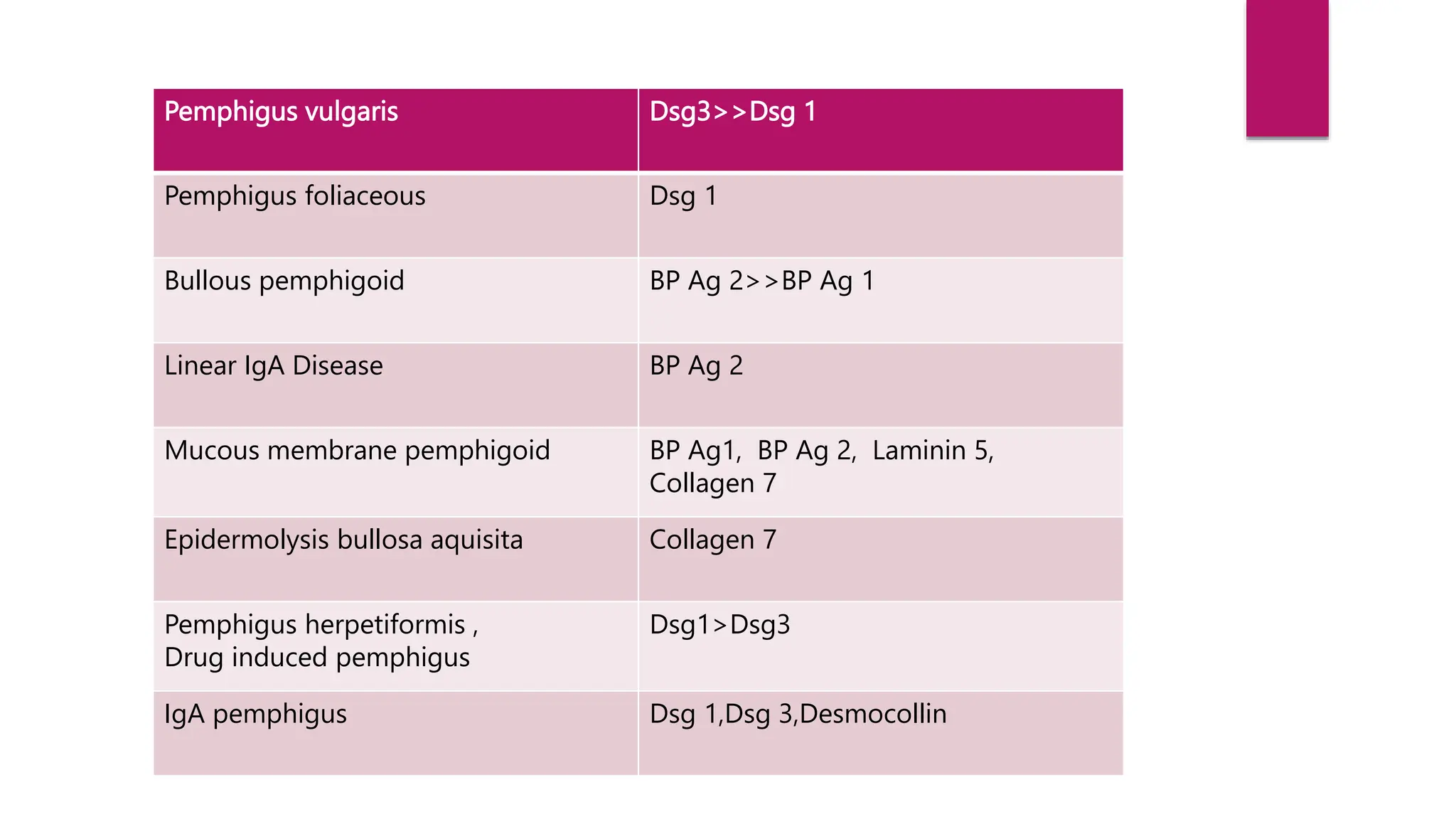 VESICULOBULLOUS DISORDERS- INTRAEPIDERMAL SPLIT | PPTX