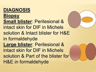 ORAL VESICULOBULLOUS LESION | PPT