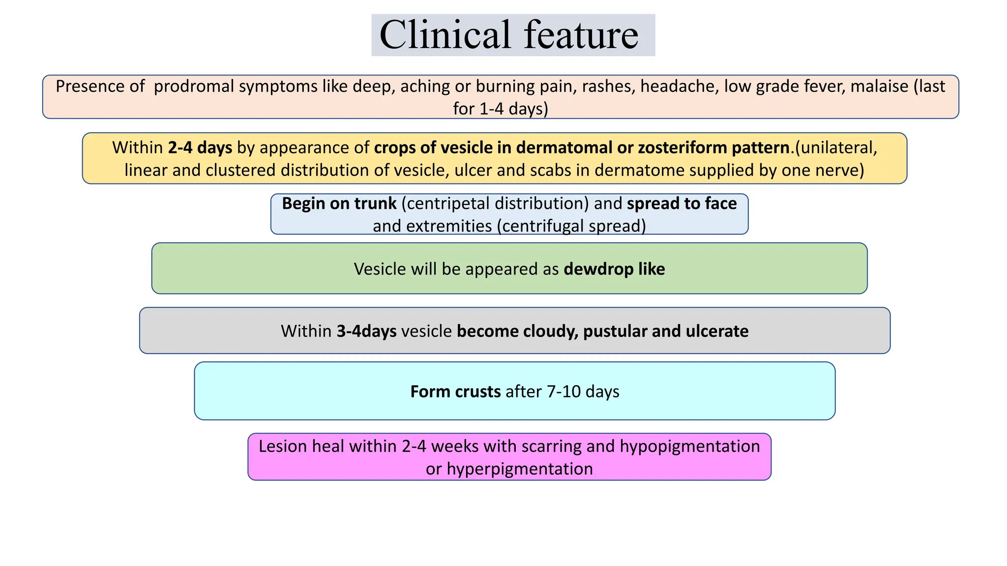 Vesiculobullous lesion of oral cavity.pptx