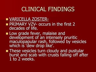 Vesiculobullous Lesions -Dr.Aseem Mohammed | PPT